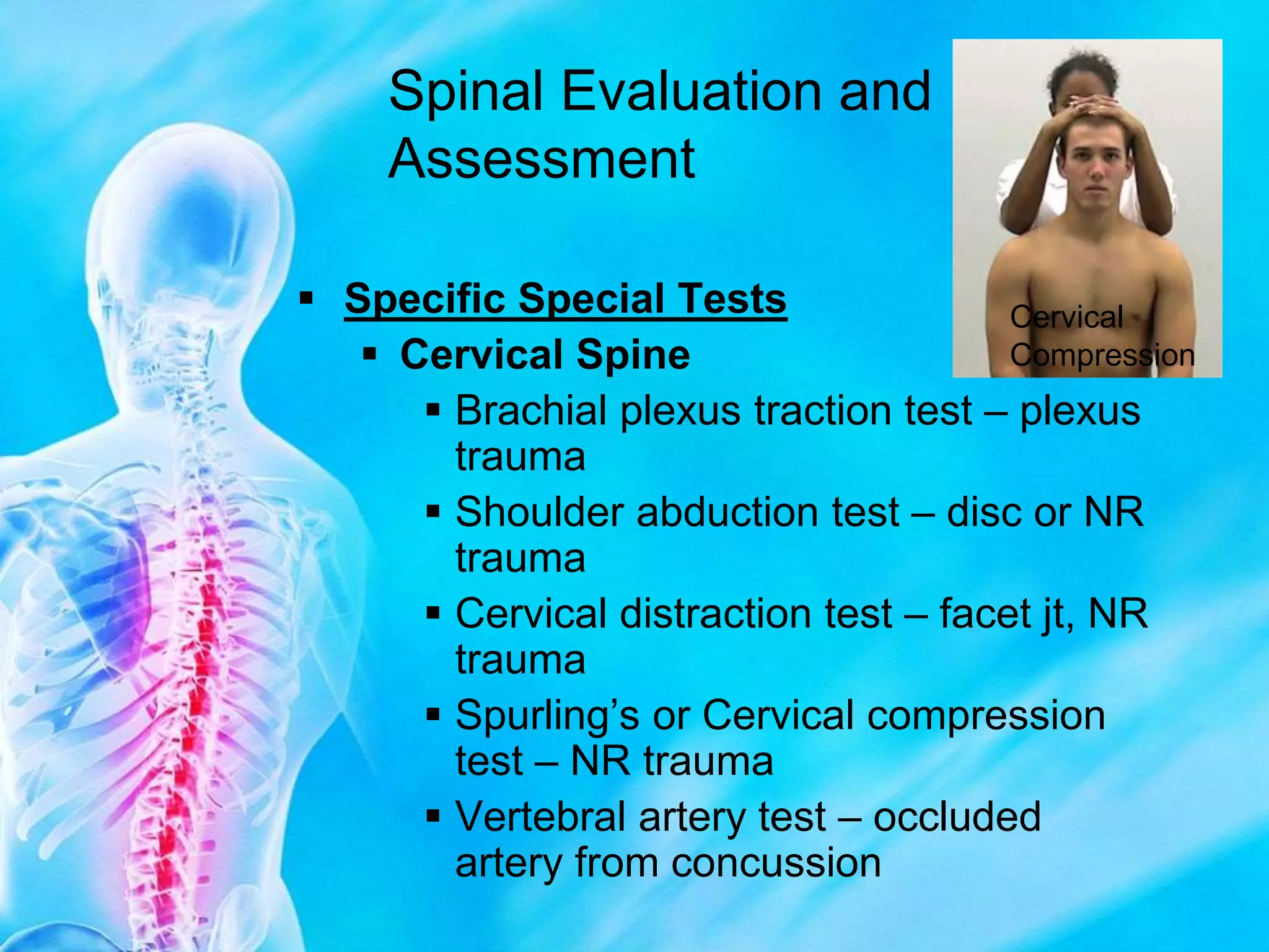 Spine Powerpoint.ppt