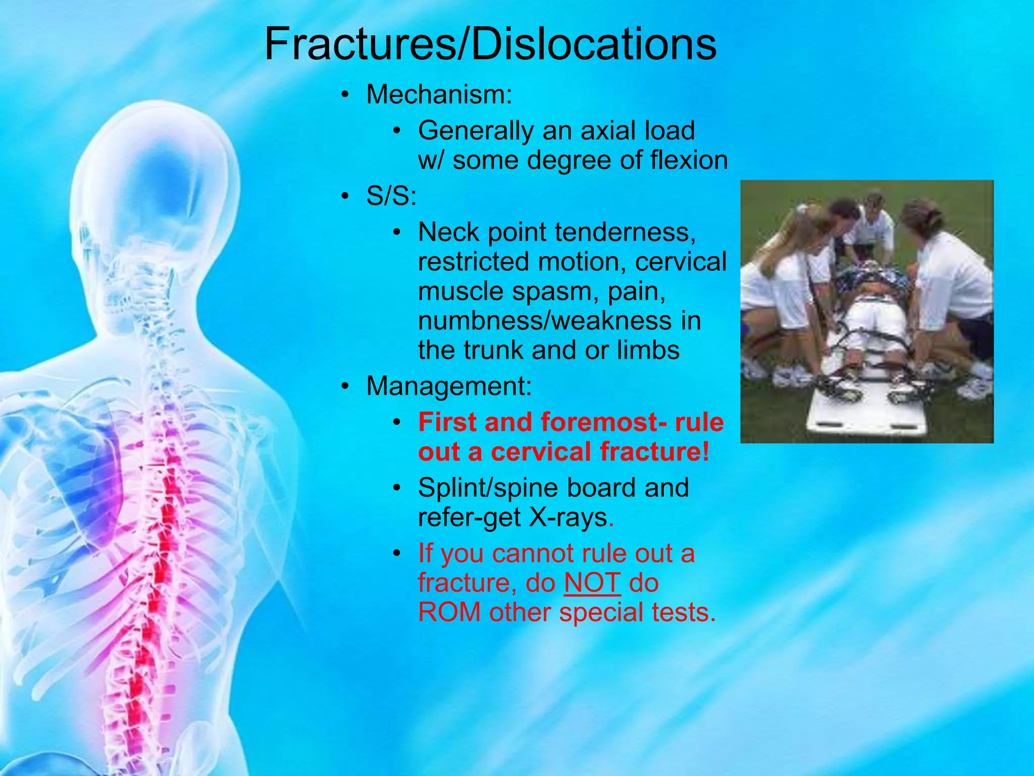 Spine Powerpoint.ppt