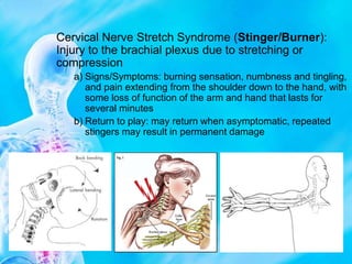 Spine Powerpoint.ppt
