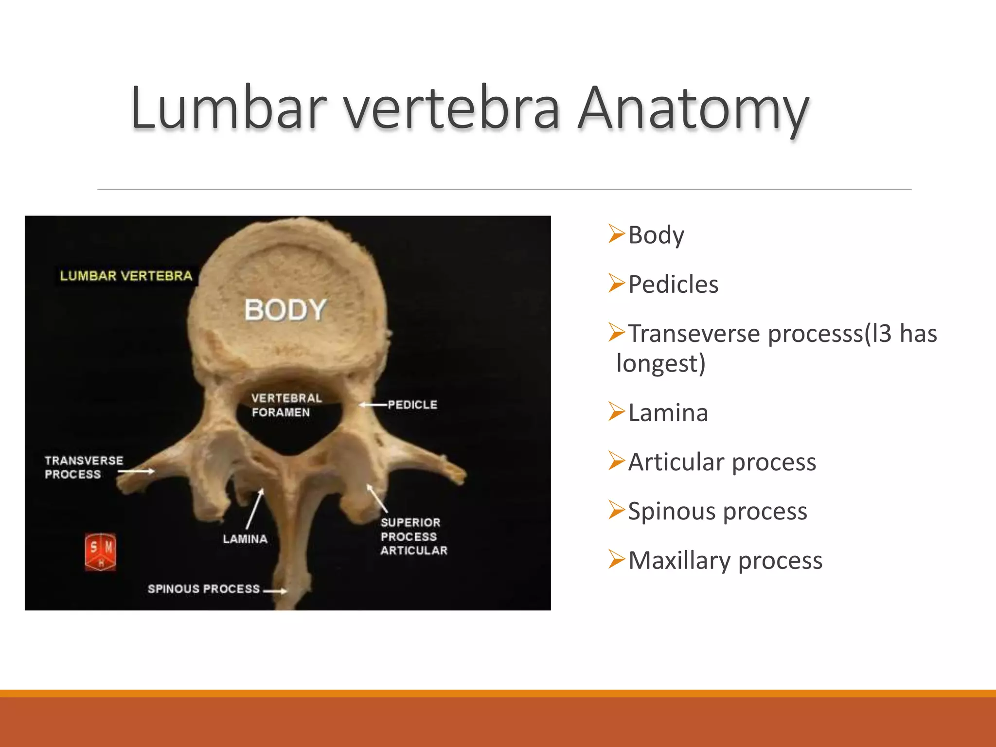 pedicle screw insertion | PPTX