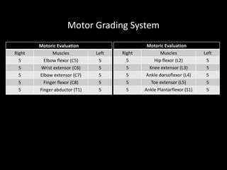Spine print ini.pptx