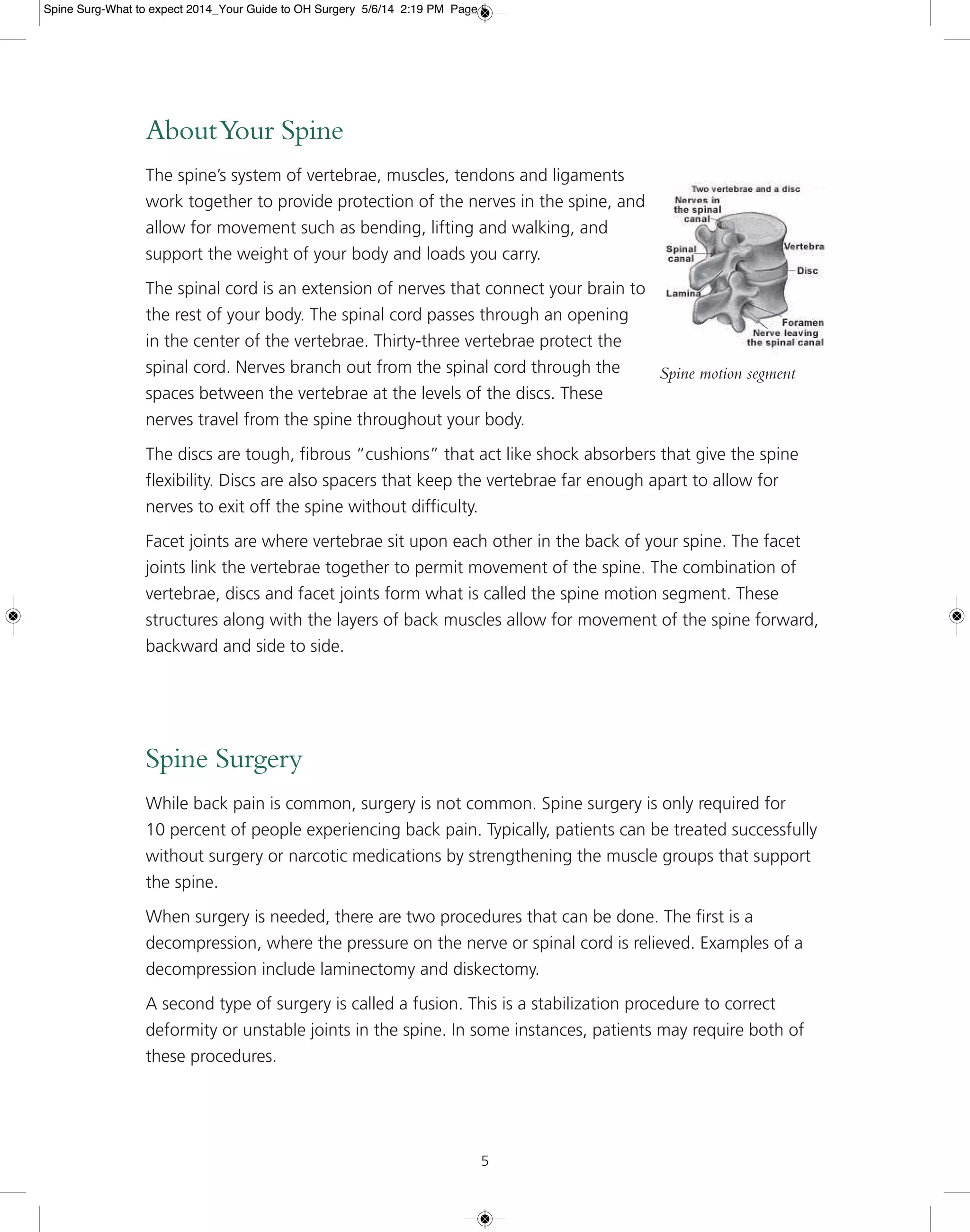 What to Expect from Spine Surgery | PDF