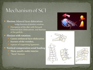 Spine surgeon Dr Arun L Naik Bangalore india | PPT