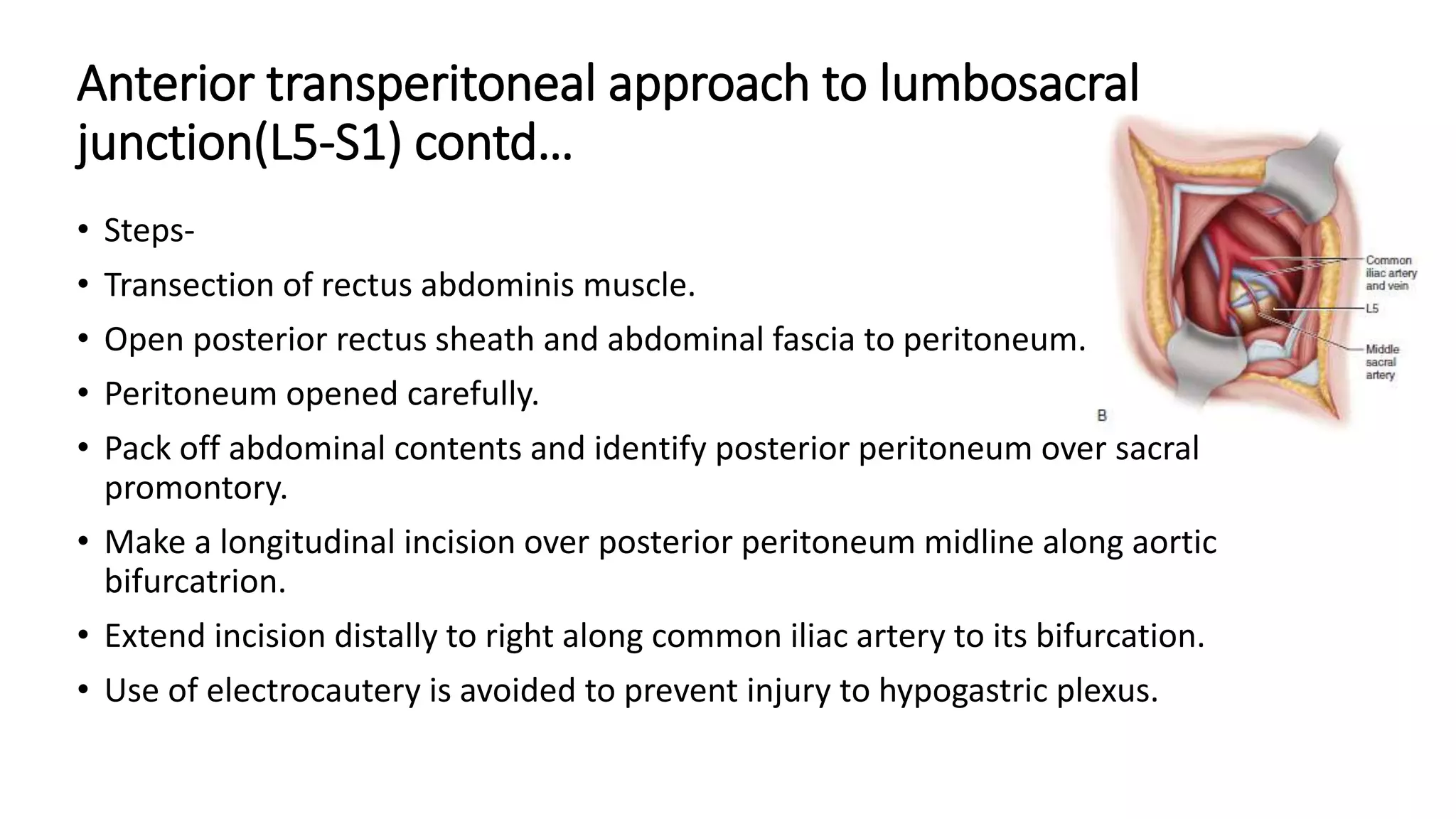 Surgical approaches to spine | PPTX