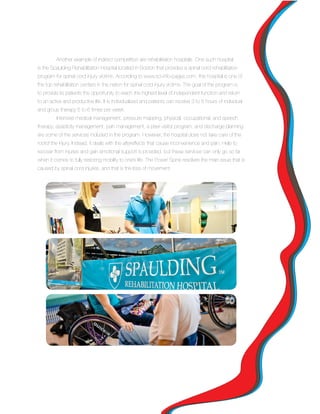 Spine Tech Business Plan | PDF