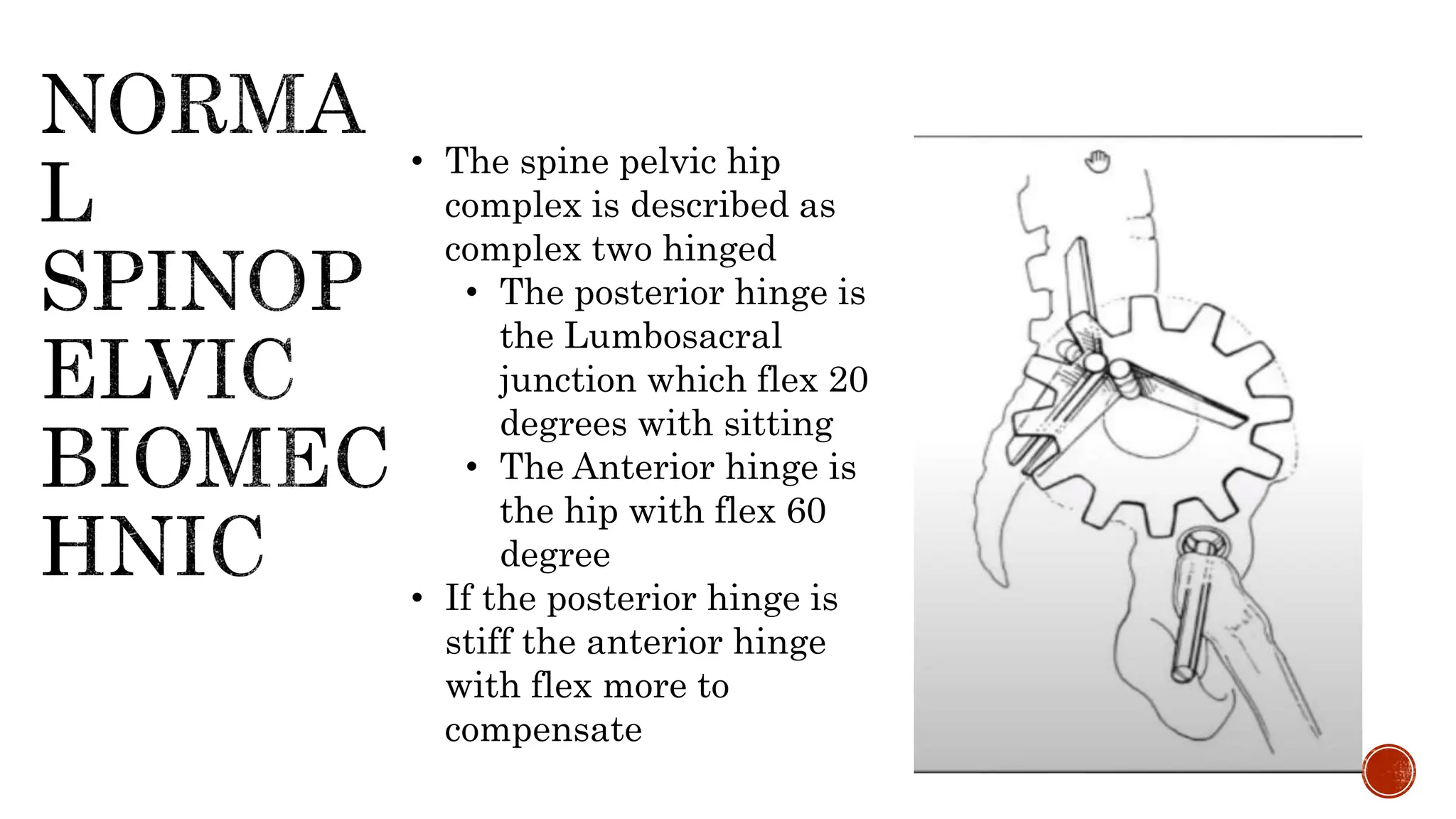 Spino-pelvic relation to total hip replacment.pptx