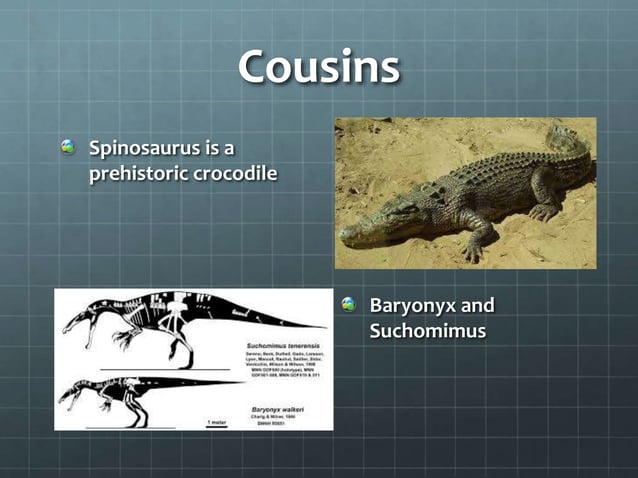 All About Spinosaurus | PPTX