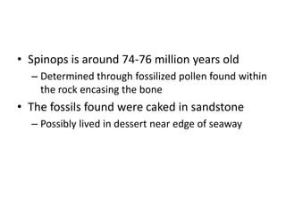 Spinops sternbergorum | PPTX | Geology | Science
