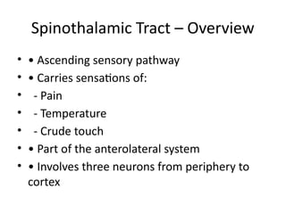 Spinothalamic_Tract_MBBS 1st year important.pptx