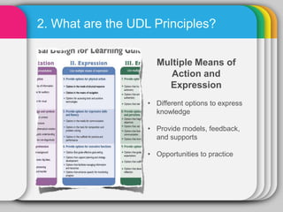 SPIN 2012 UDL Presentation | PPTX | Special Education | Education