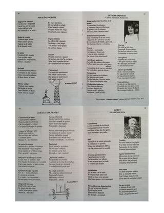 Revista Spinul iulie | PDF