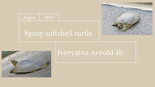 Spiny softshell turtle MArine project.pdf