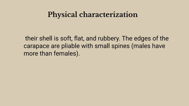 Spiny softshell turtle MArine project.pdf