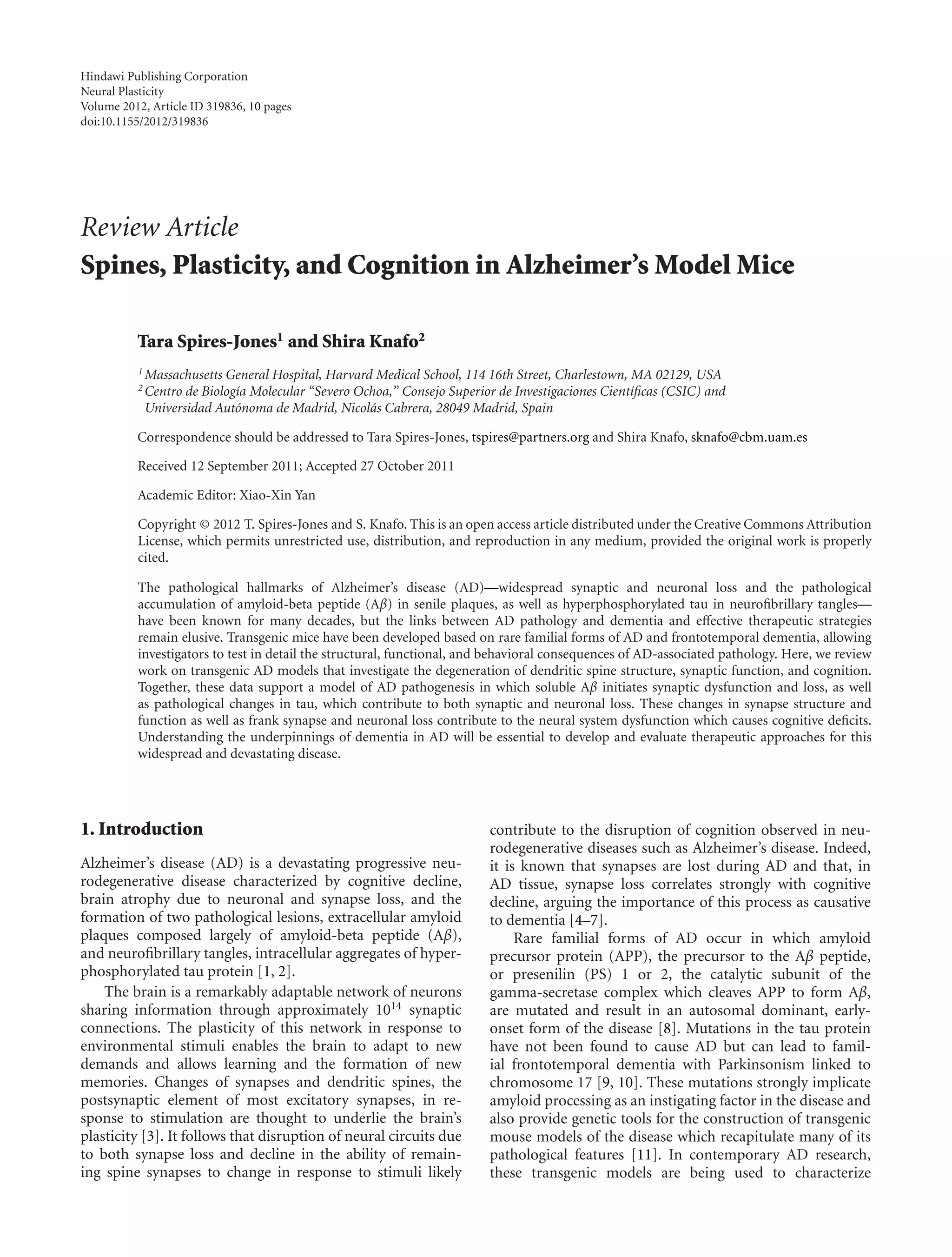 Spires jones and knafo np | PDF