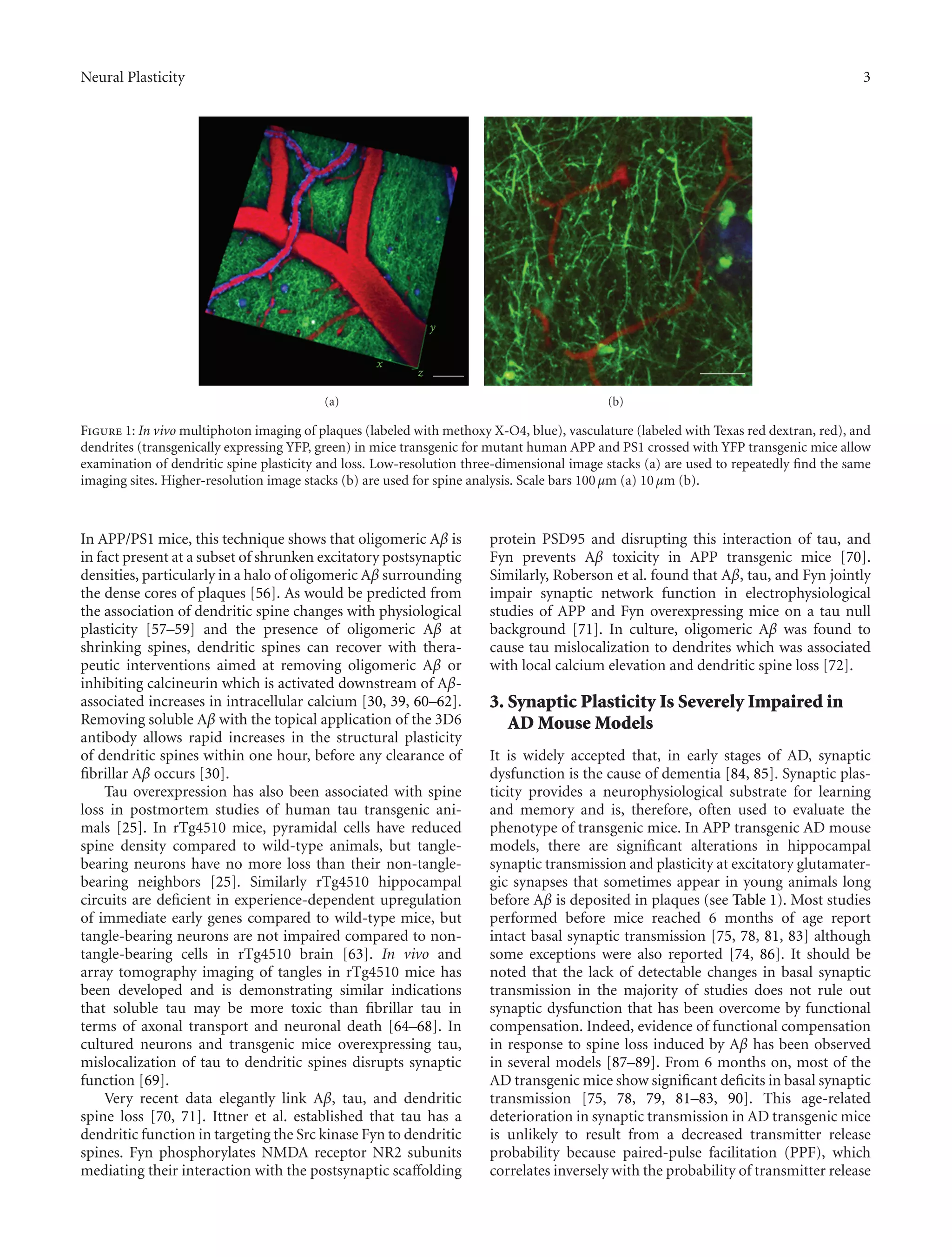 Spires jones and knafo np | PDF