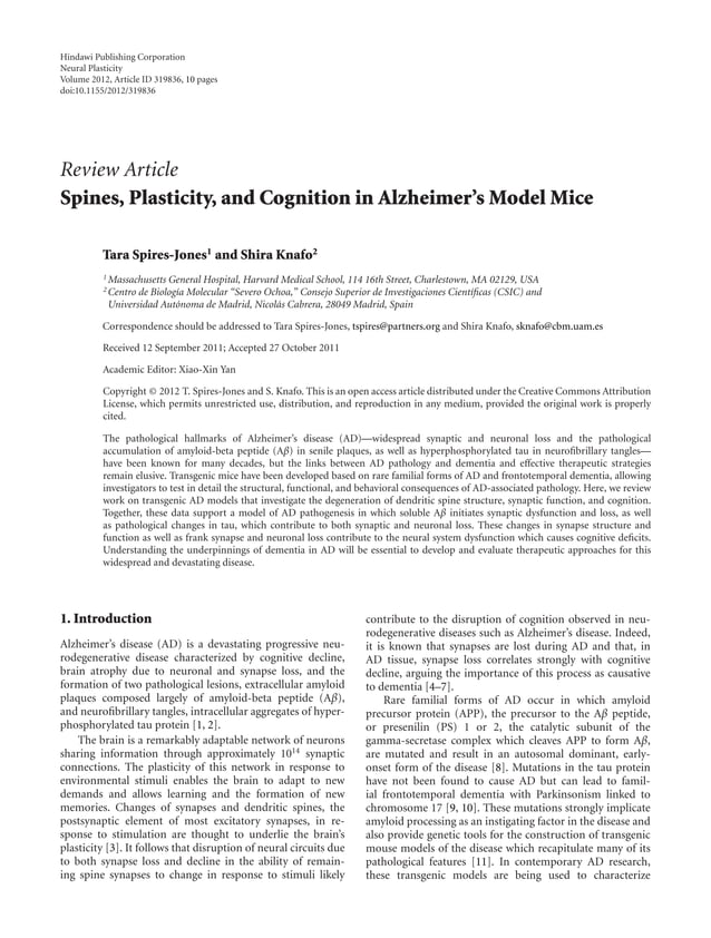 Spires jones and knafo np | PDF