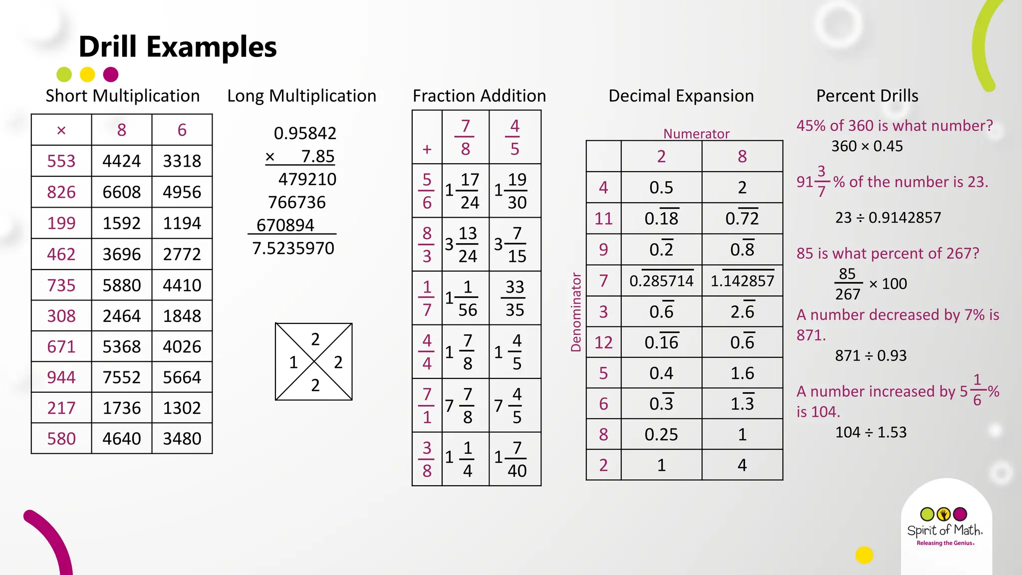 Spirit of Math-Program Overview 5-8 PDF.pdf