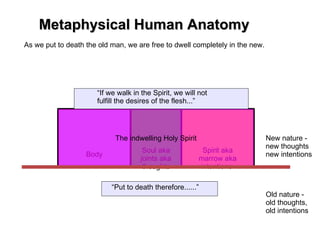 Spiritual Anatomy | PPT