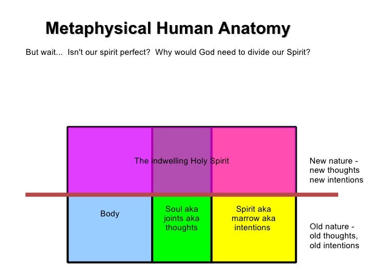 Spiritual Anatomy Of Man