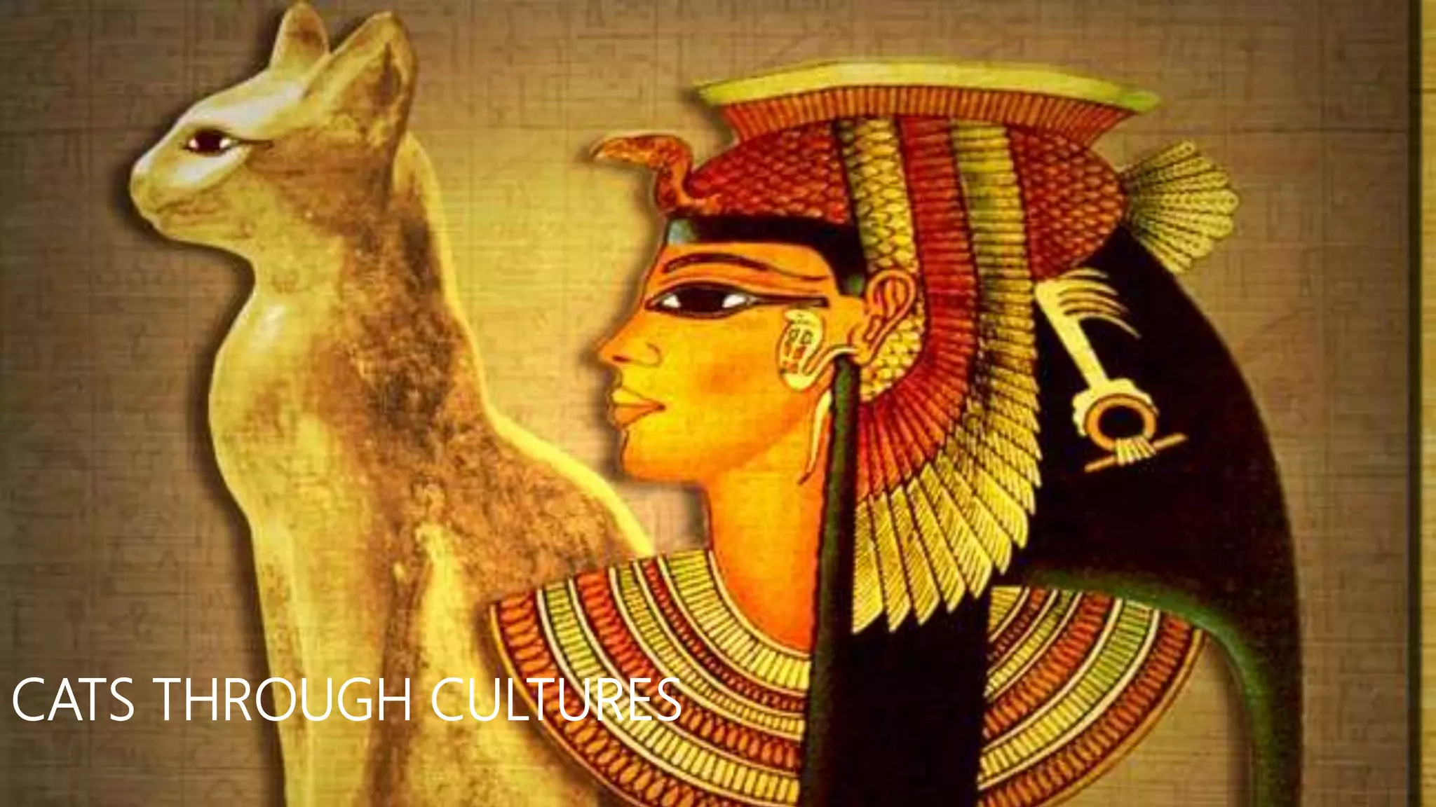 Spiritual cats | PPTX