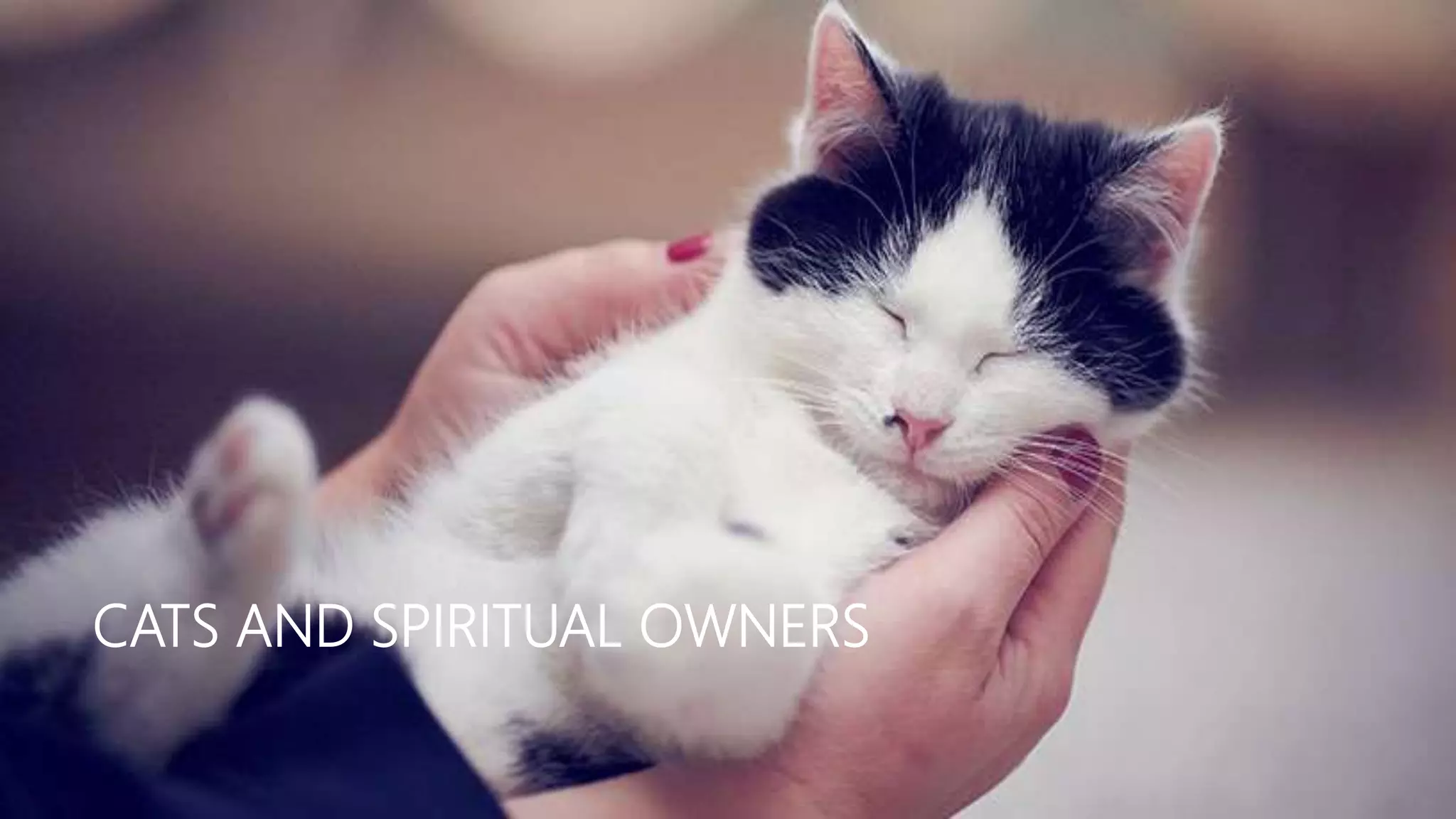Spiritual cats | PPTX