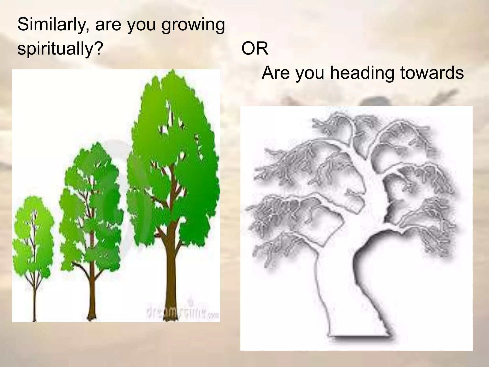 Spiritual Maturity | PPTX