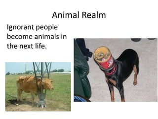 Spiritual realms | PPT