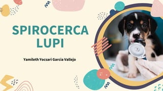 SPIROCERCA LUPI.pptx