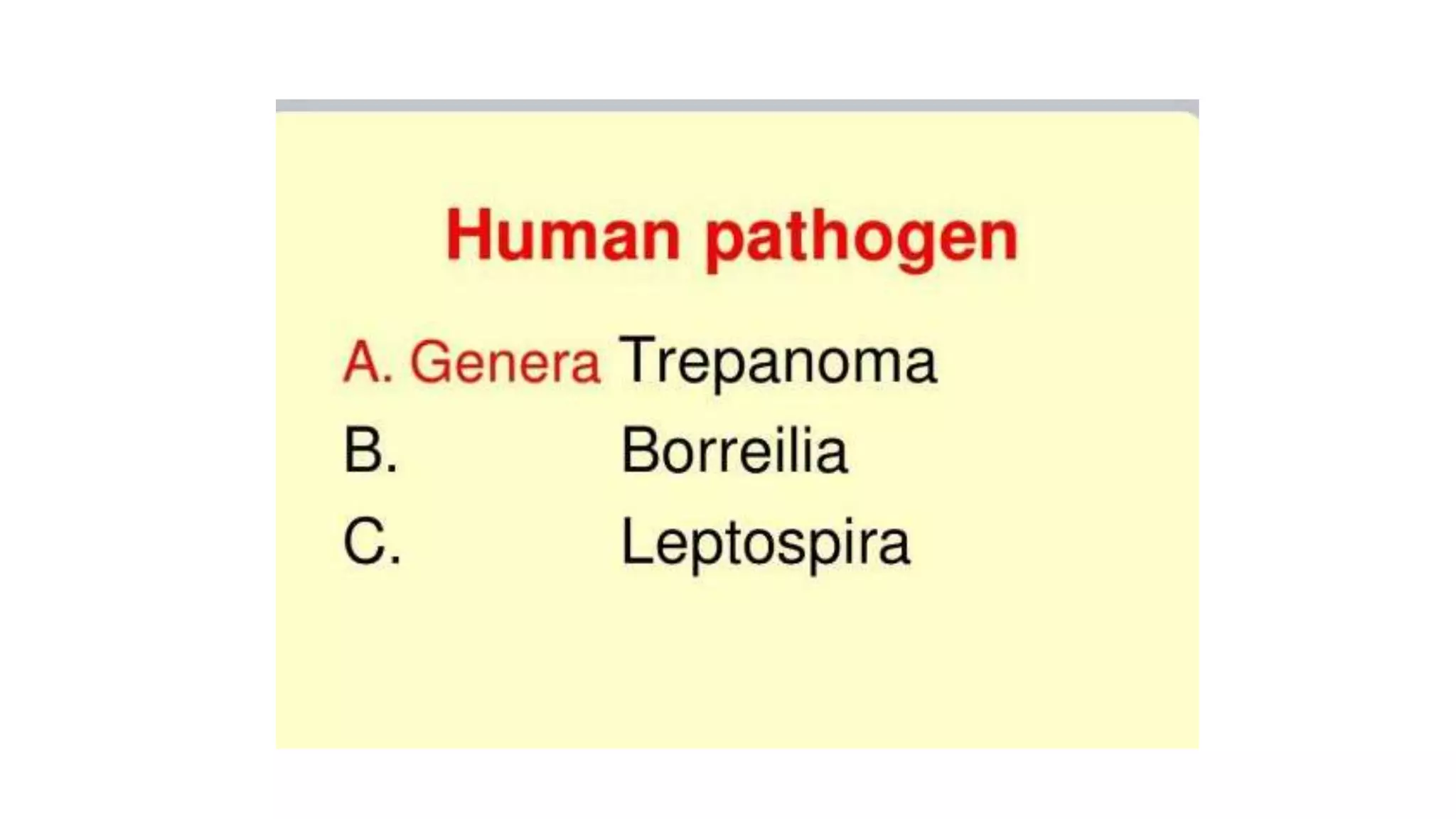 SPIROCHAETAL INFECTION in orthopaedics.pptx