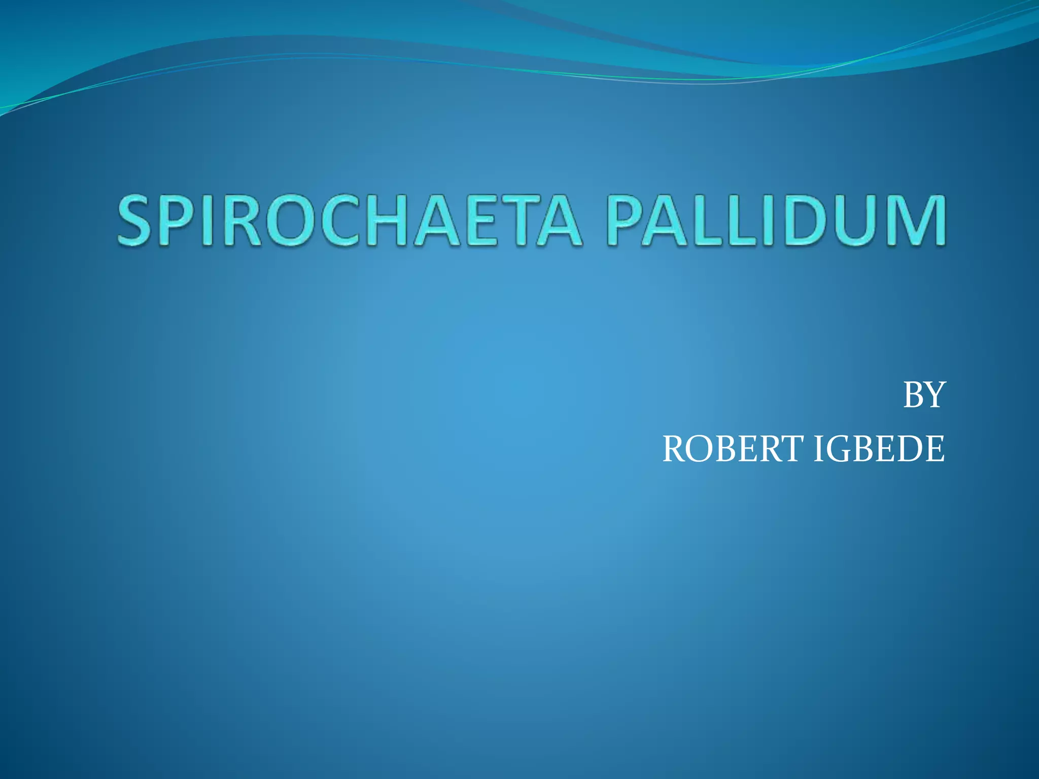 Spirochaeta pallidum | PPTX | Infectious Diseases | Diseases and Conditions