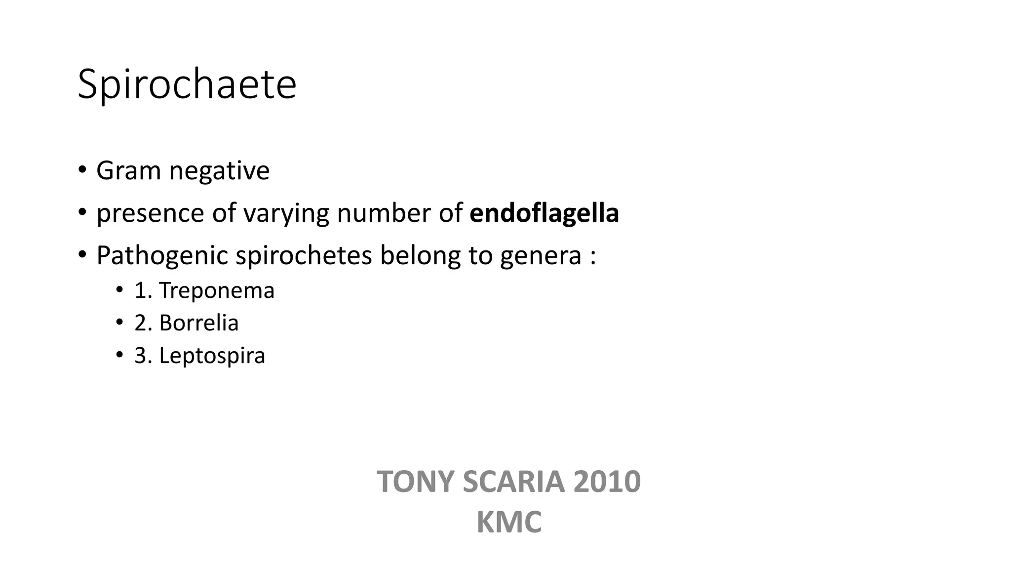 SPIROCHAETE REVISION NOTES MICROBIOLOGY | PDF