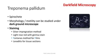 SPIROCHAETE REVISION NOTES MICROBIOLOGY | PDF
