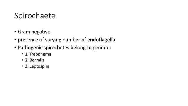 Spirochaete microbiology revision notes | PPT