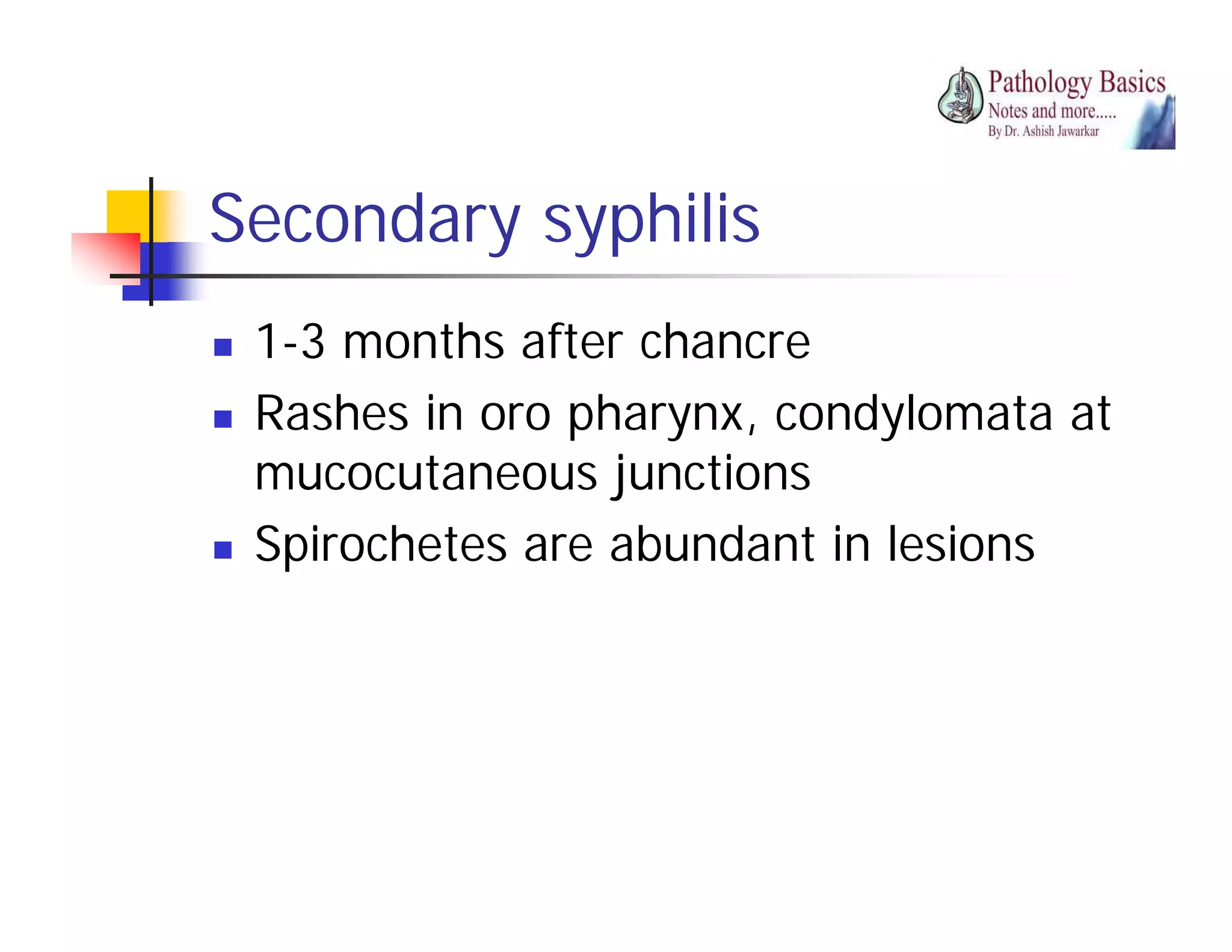 Spirochaetes | PDF