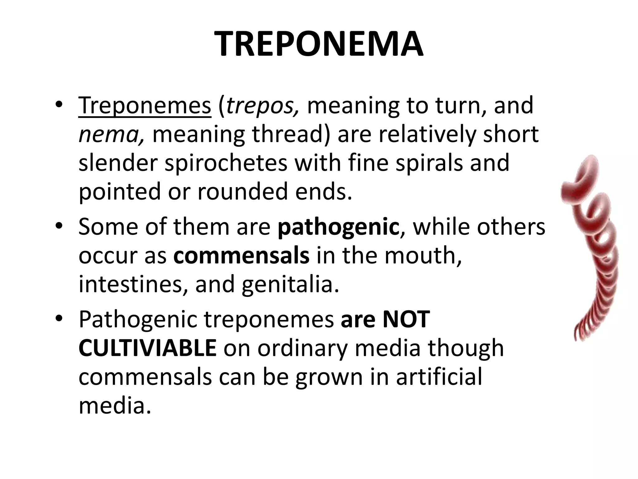 Treponema pallidum | PPTX