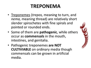 Treponema pallidum | PPTX