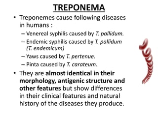 Treponema pallidum | PPTX
