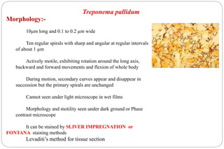 Spirochaetes | PPTX