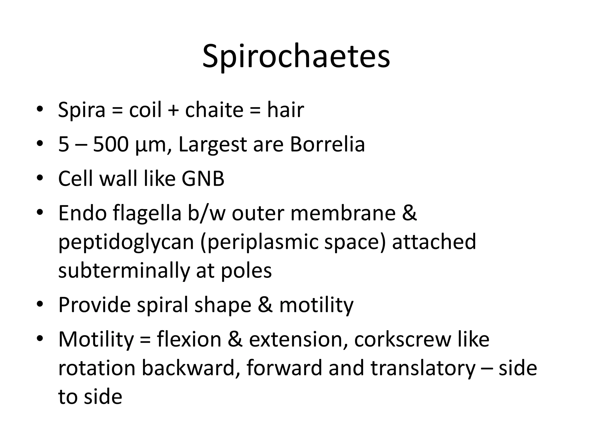 Spirochaetes treponema, borrelia & leptospira | PPTX