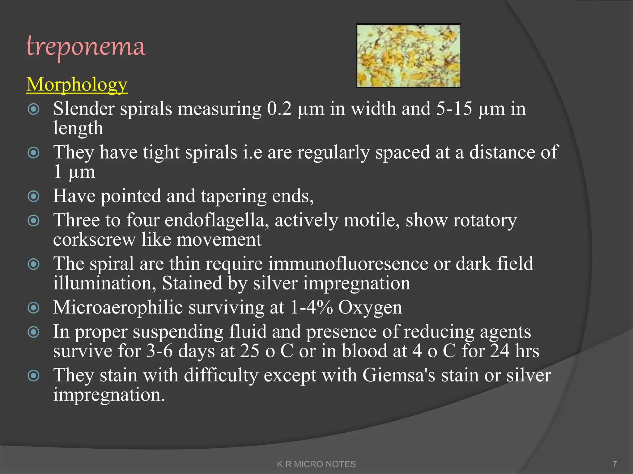 SPIROCHAETES TREPONEMA K R .pptx | Infectious Diseases | Diseases and ...