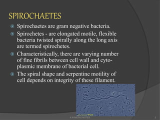 SPIROCHAETES TREPONEMA K R .pptx | Infectious Diseases | Diseases and ...