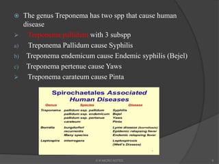 SPIROCHAETES TREPONEMA K R .pptx | Infectious Diseases | Diseases and ...