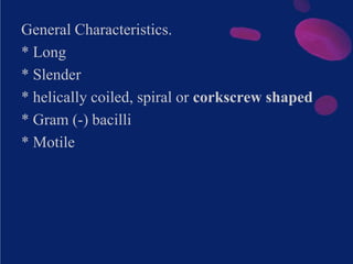 Spirochataceae | PPTX | Infectious Diseases | Diseases and Conditions