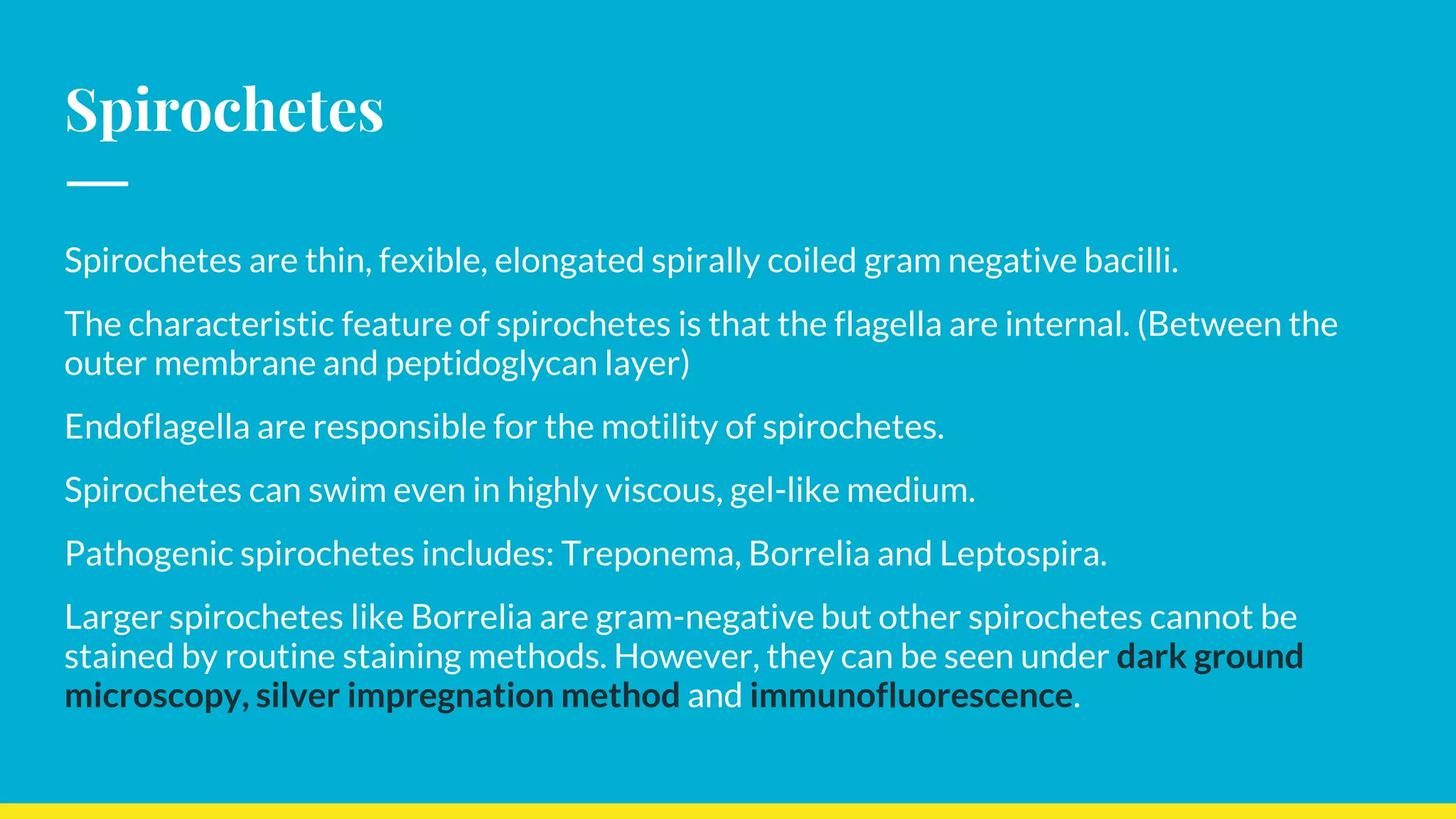 Spirochete.pptx | Infectious Diseases | Diseases and Conditions
