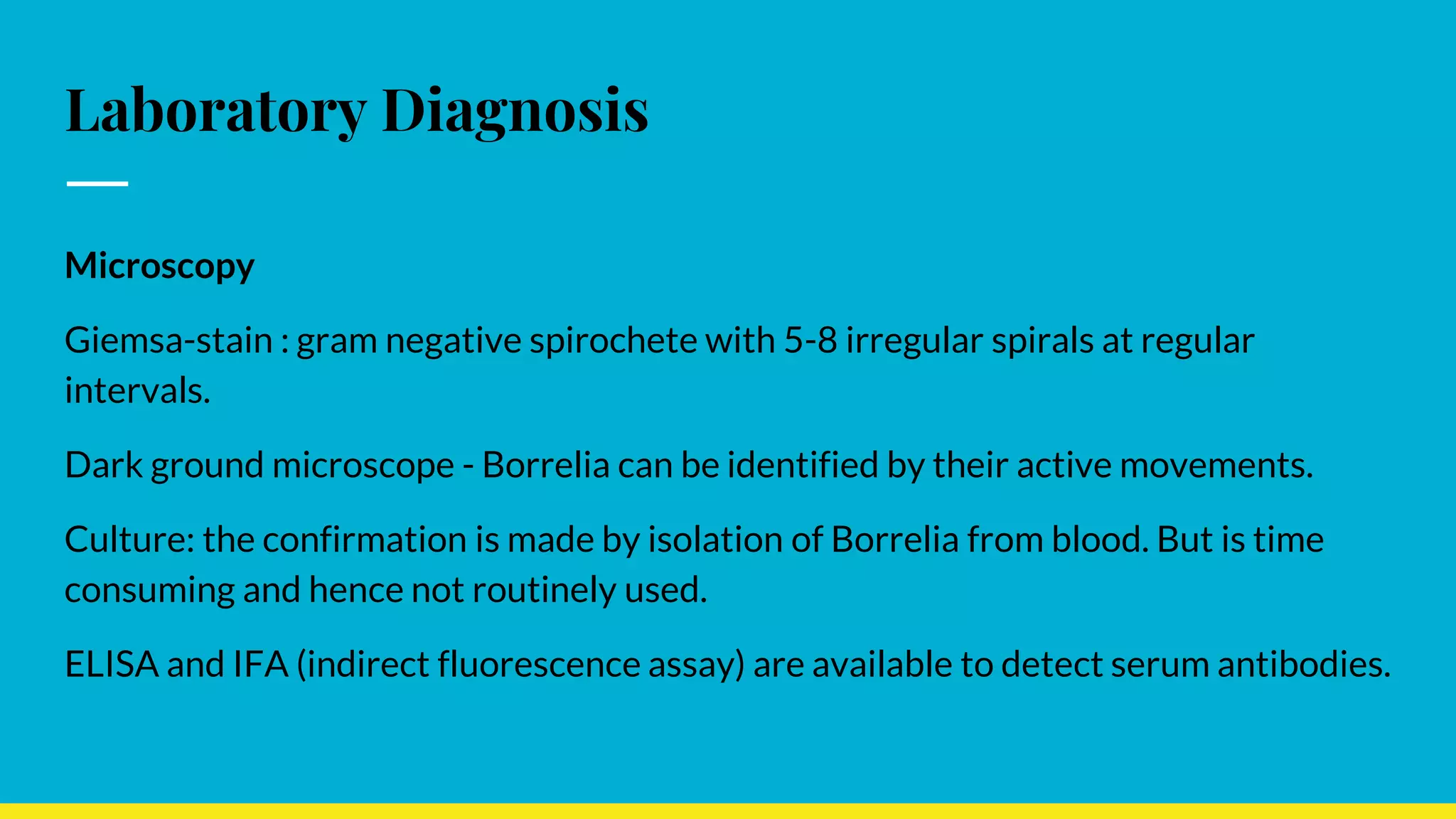Spirochete.pptx | Infectious Diseases | Diseases and Conditions