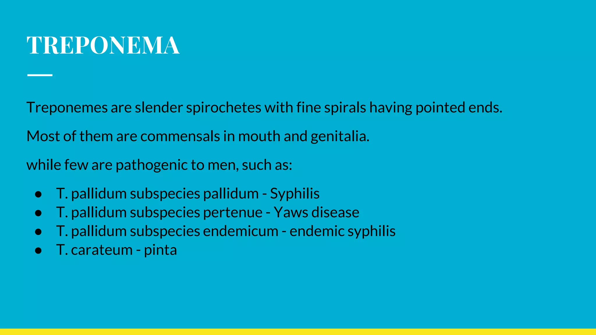 Spirochete.pptx | Infectious Diseases | Diseases and Conditions