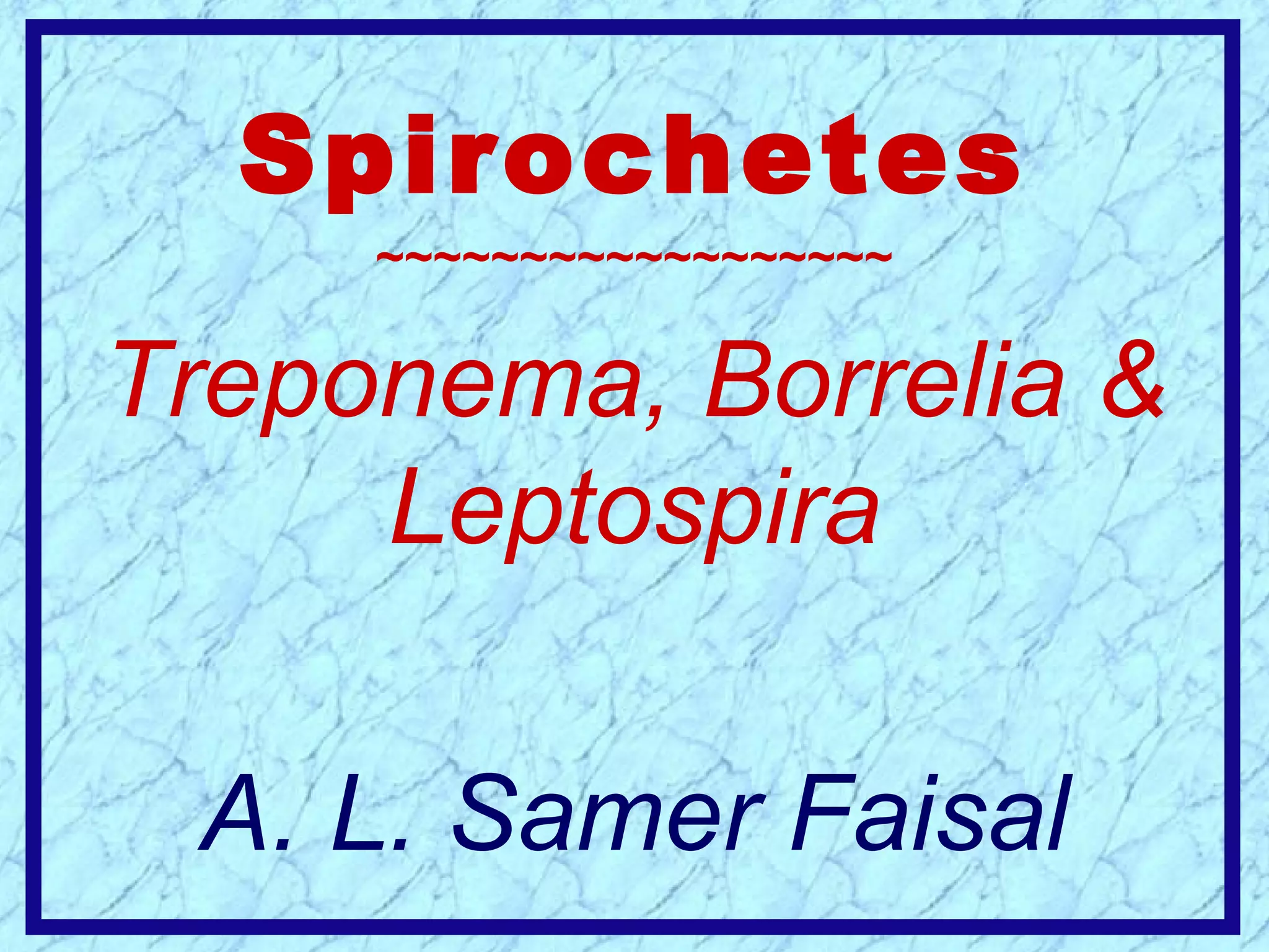 Spirochetes | PPT