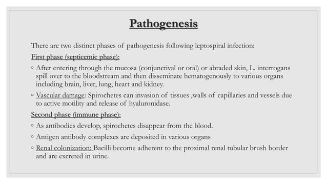 Spirochetes | PPTX | Infectious Diseases | Diseases and Conditions
