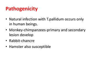 SPIROCHETEs AND THE INFECTION OF YHE HUMAN | PDF