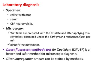 SPIROCHETEs AND THE INFECTION OF YHE HUMAN | PPT